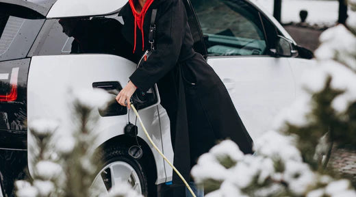 How to charge your EV during cold weather? – Daolar-EU